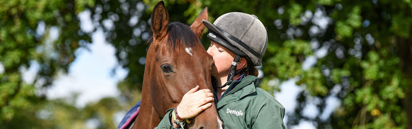 Feeding Finder | Feed Help & Advice | Dengie Horse Feeds