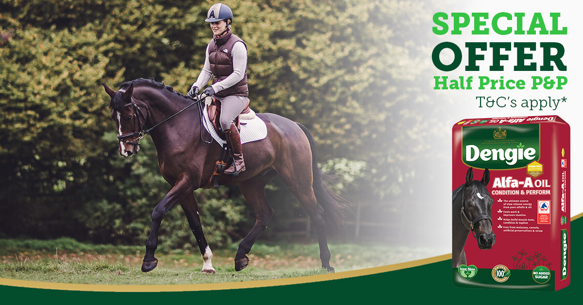 Alfa-A Oil | Dengie Horse Feeds