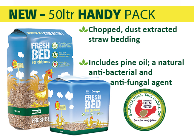 A Cracking Good Idea! | Dengie Horse Feeds