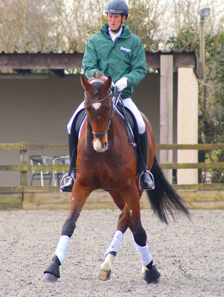 Diary of a working rider by Craig Millard | Dengie Horse Feeds