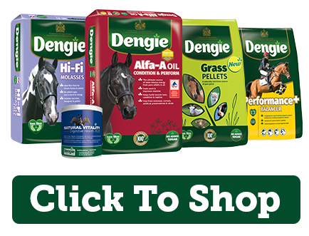 Dengie Horse Feeds | The leading manufacturer of fibre-based horse feeds
