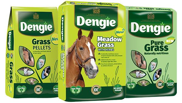 Horse Feeds | Dengie Horse Feeds