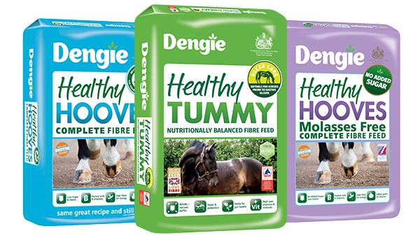 Horse Feeds | Dengie Horse Feeds